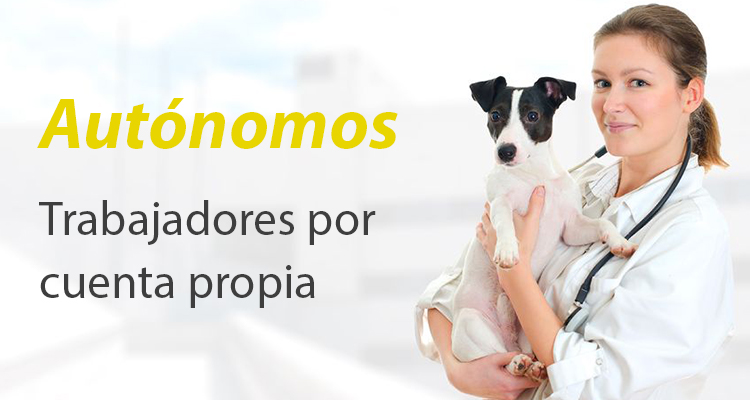 ¿Cómo hacerse autónomo? | Blog ALTAI Soft